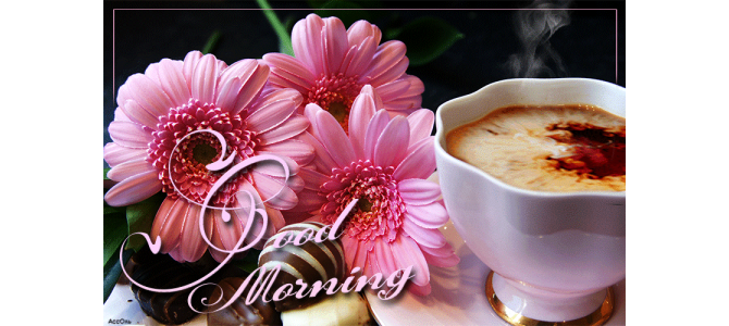 Good Morning Cool Flowers